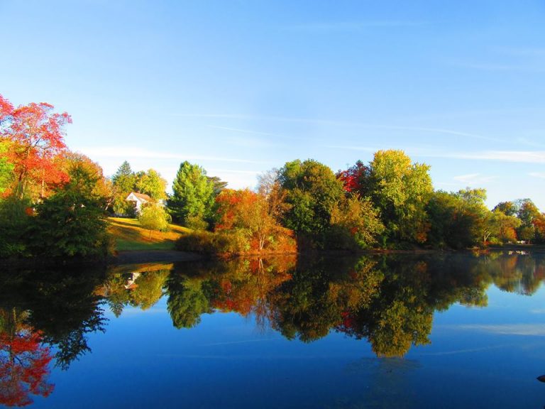 Photo Contest Winners - Wyckoff Chamber of CommerceWyckoff Chamber of ...